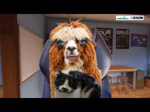 The Female Lama - Cat Adventures - YouTube