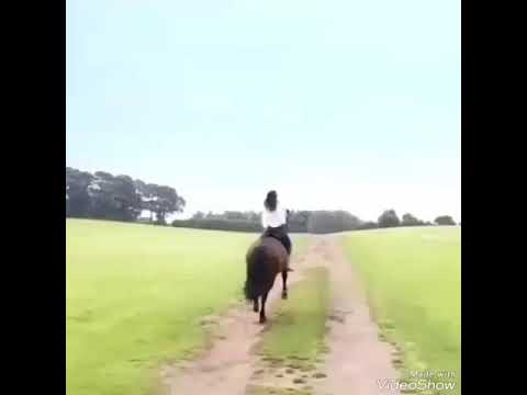 Kürtçe damar şarkı 2018