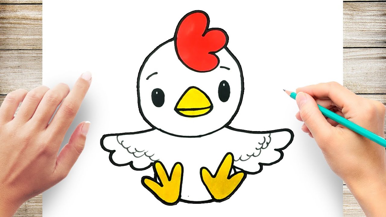 How to Draw A Chicken Cartoon - YouTube