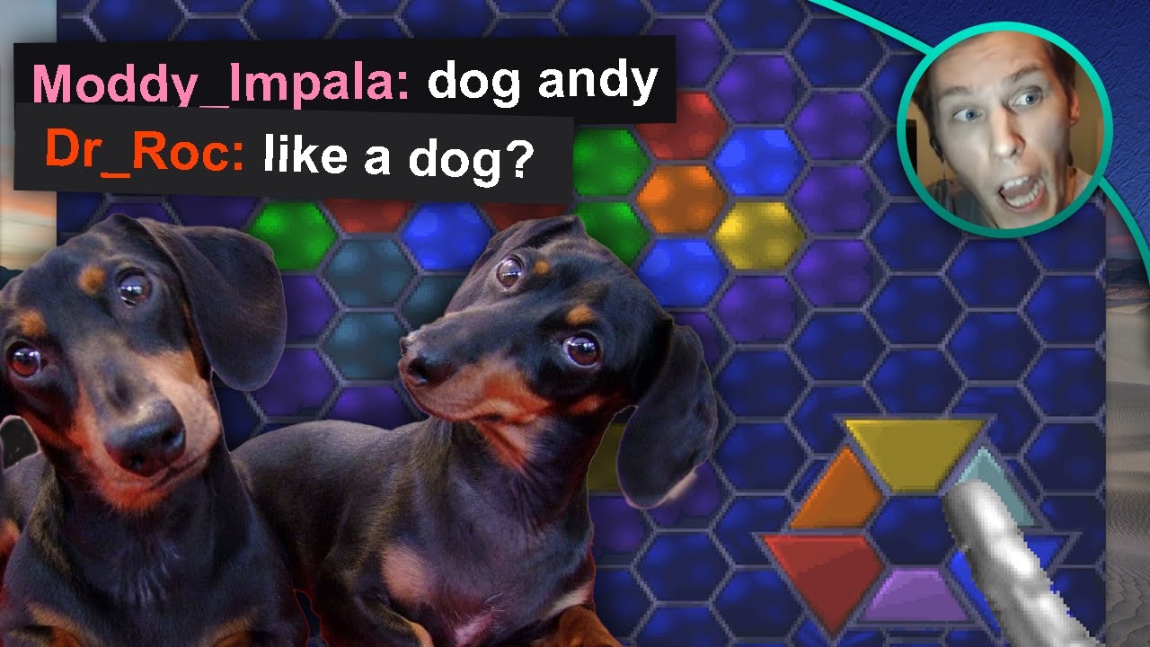 Jerma - "Confused Dog" Streamer - YouTube