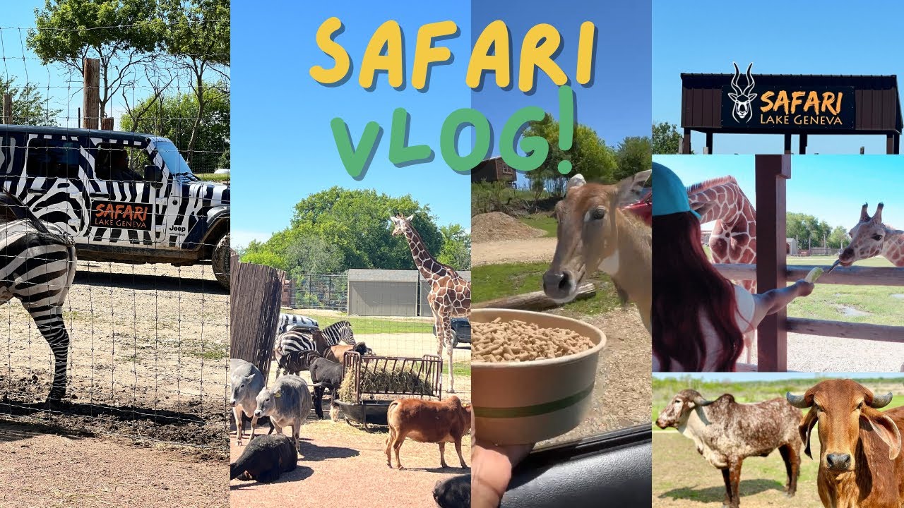 We went to Safari Lake Geneva (drive thru zoo) & this happened! - YouTube
