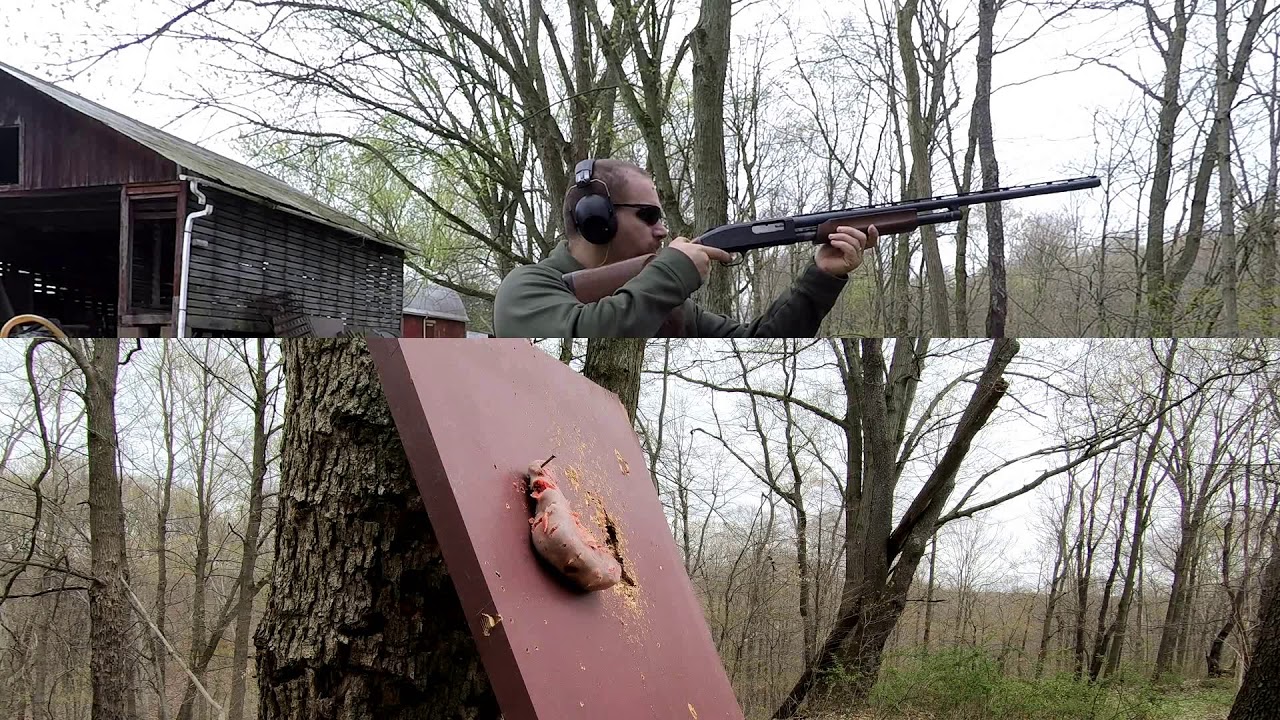 00 buck vs cow tongue - YouTube