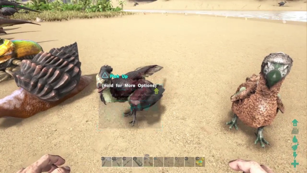 ARK Survival Evolved | All Creatures! #Small - YouTube