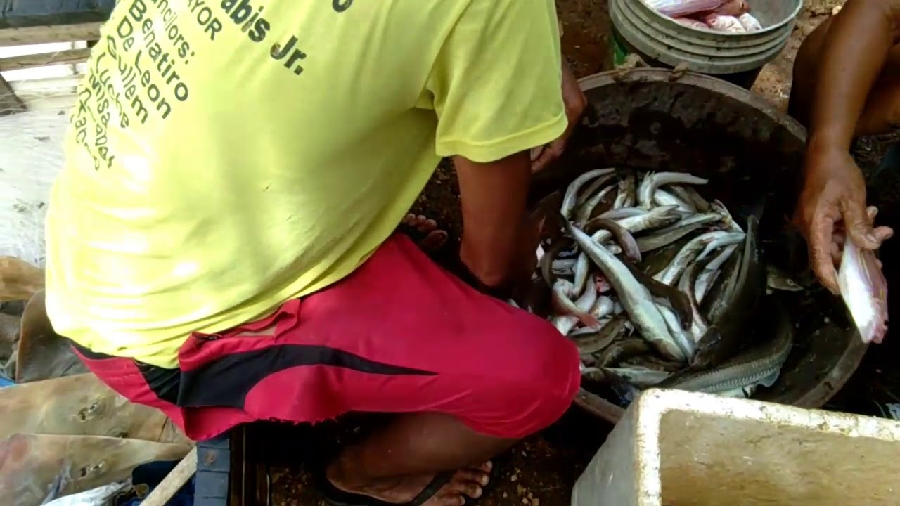 Fresh fish sa province ng cebu. - YouTube