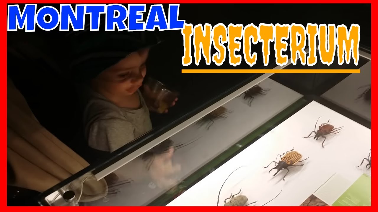 Insecterium and Biodome of Montreal - YouTube