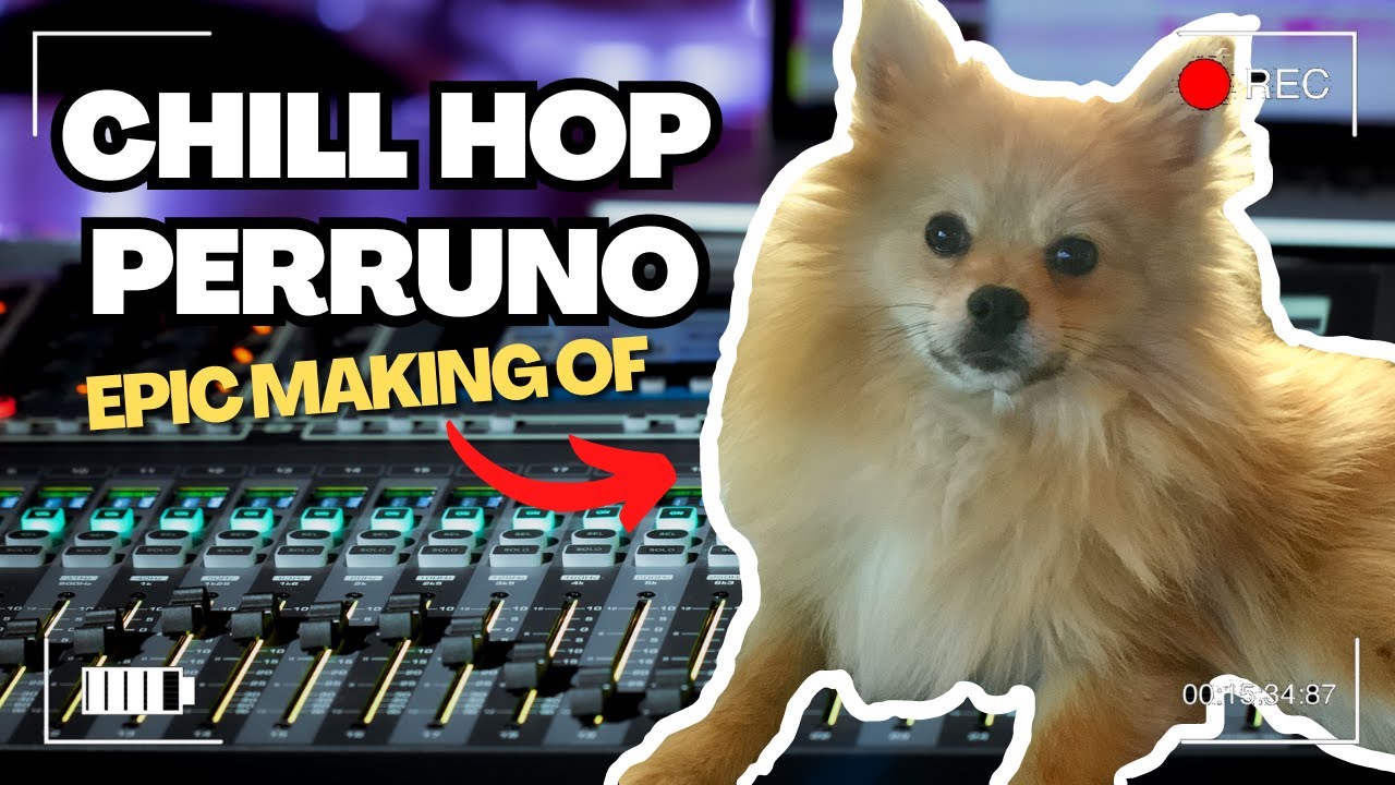 🐶 Este PERRO es el nuevo INSTRUMENTO MUSICAL que necesitas en tu vida ...