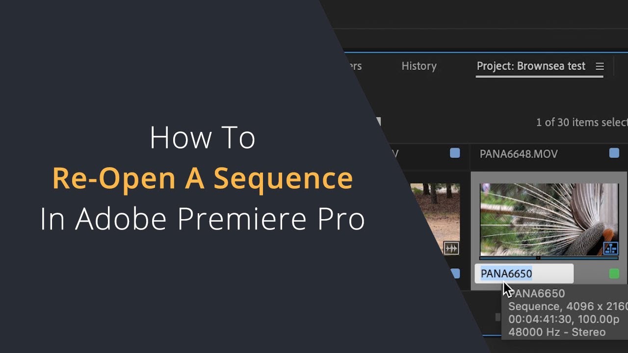 How To Find Your Timeline or Sequence in Premiere Pro | How to Recover ...