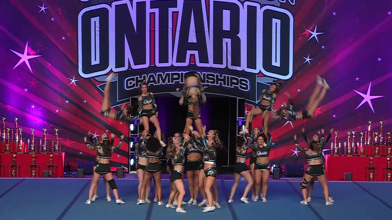 Cheer Sport Grey Reef Sharks IASF Int'l Open 6 Run 1 - YouTube