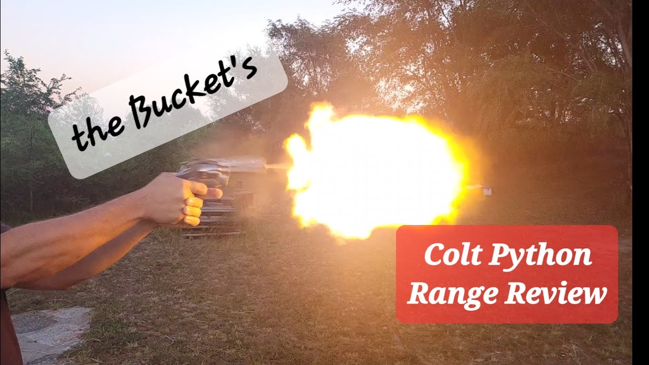 New Production Colt Python "Definitely Worth the Money?" With Range ...