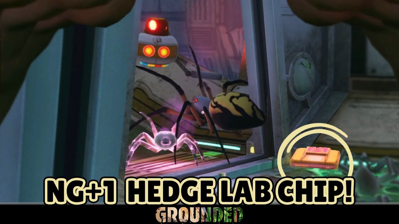 Grandma got grounded! - EP62: NG+1 Hedge Lab Super Chip - YouTube