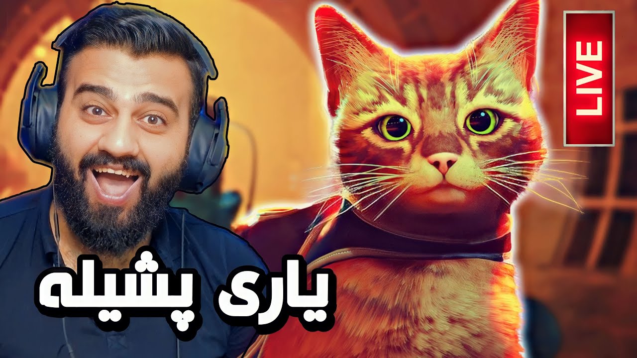 Pshila😍بووین بە پشیلە سورە - YouTube