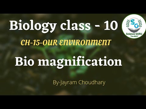 Bio magnification Our environment class 10 | Biological magnification ...