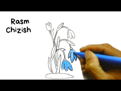 Rasm chizish |Boychechak rasmini chizish|Как нарисовать Подснежник ...