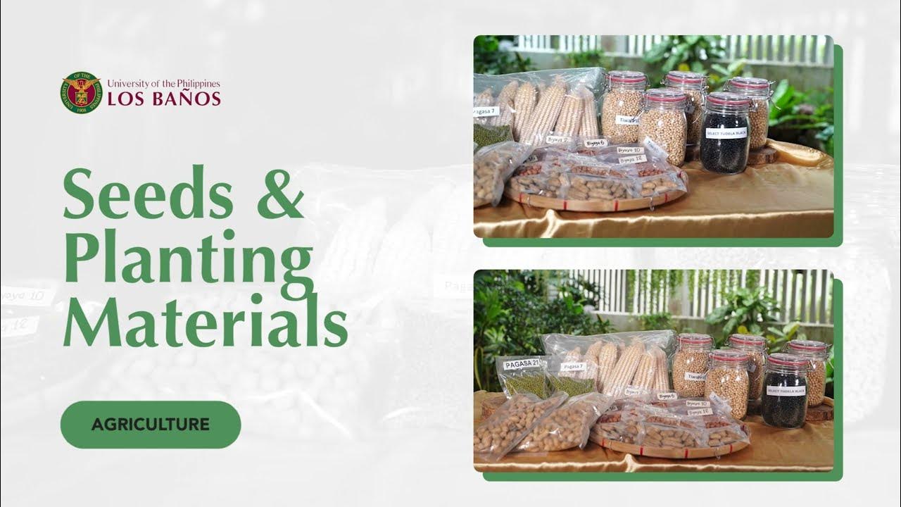 08 | Seeds and Planting Materials - YouTube