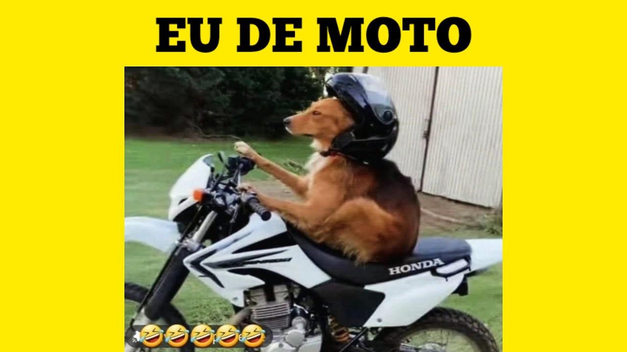 MELHORES MEMES EM IMAGENS - EU DE MOTO - YouTube