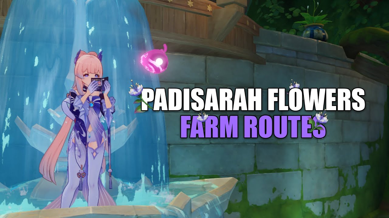 Padisarah Farm Route (Nilou Flowers) - YouTube