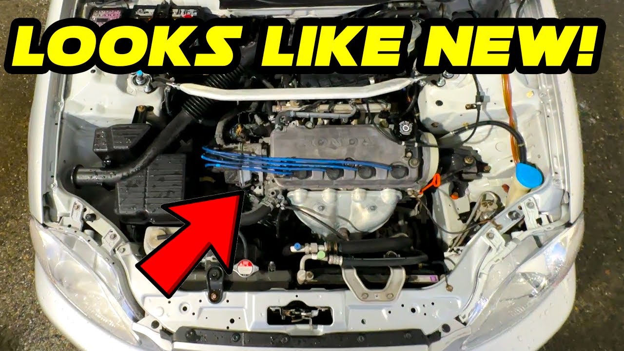 FILTHY Engine Bay Detail on a Auction Biohazard Honda Civic Hatchback ...