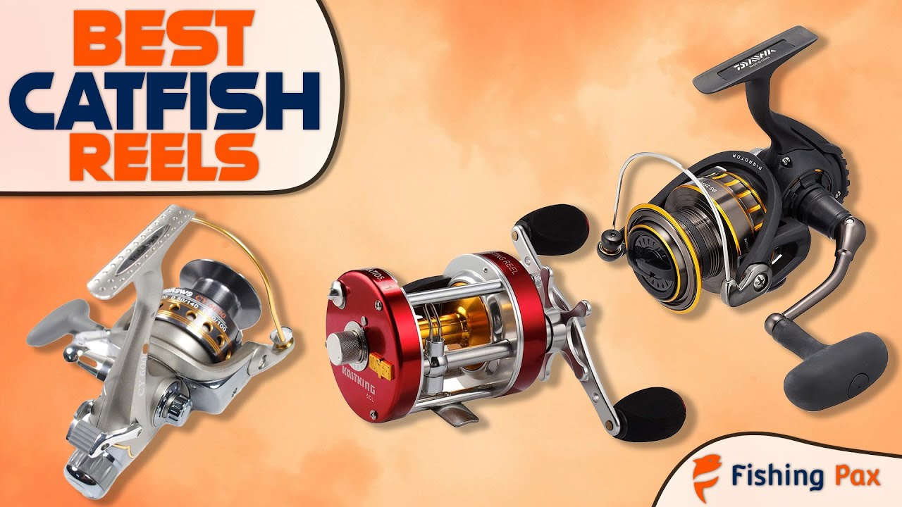 Best Catfish Reels (Catch Big River Catfish With These Top Models ...