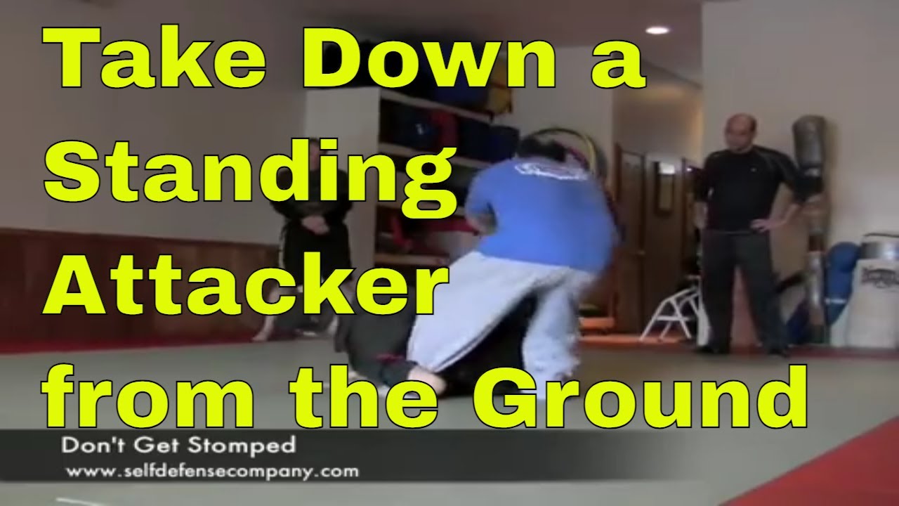 How to Take Down a Standing Attacker from the Ground - YouTube