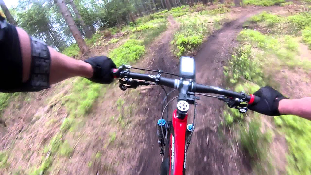 Winterfold Forest, Surrey Hills May2013, Hammering it on '3 Amigos ...