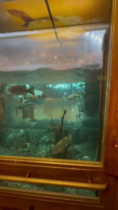 Bass Pro Shops Youtube