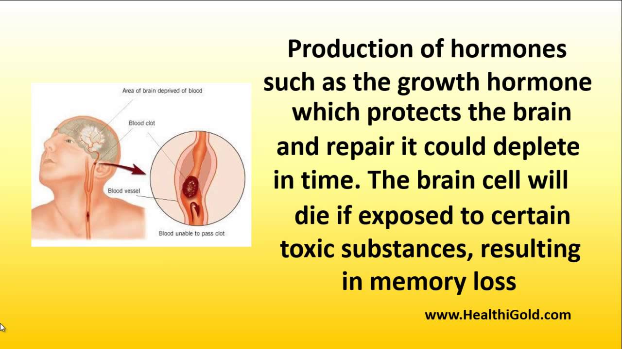 Memory Loss and Aging | Improve Memory | Memory Improvement - YouTube