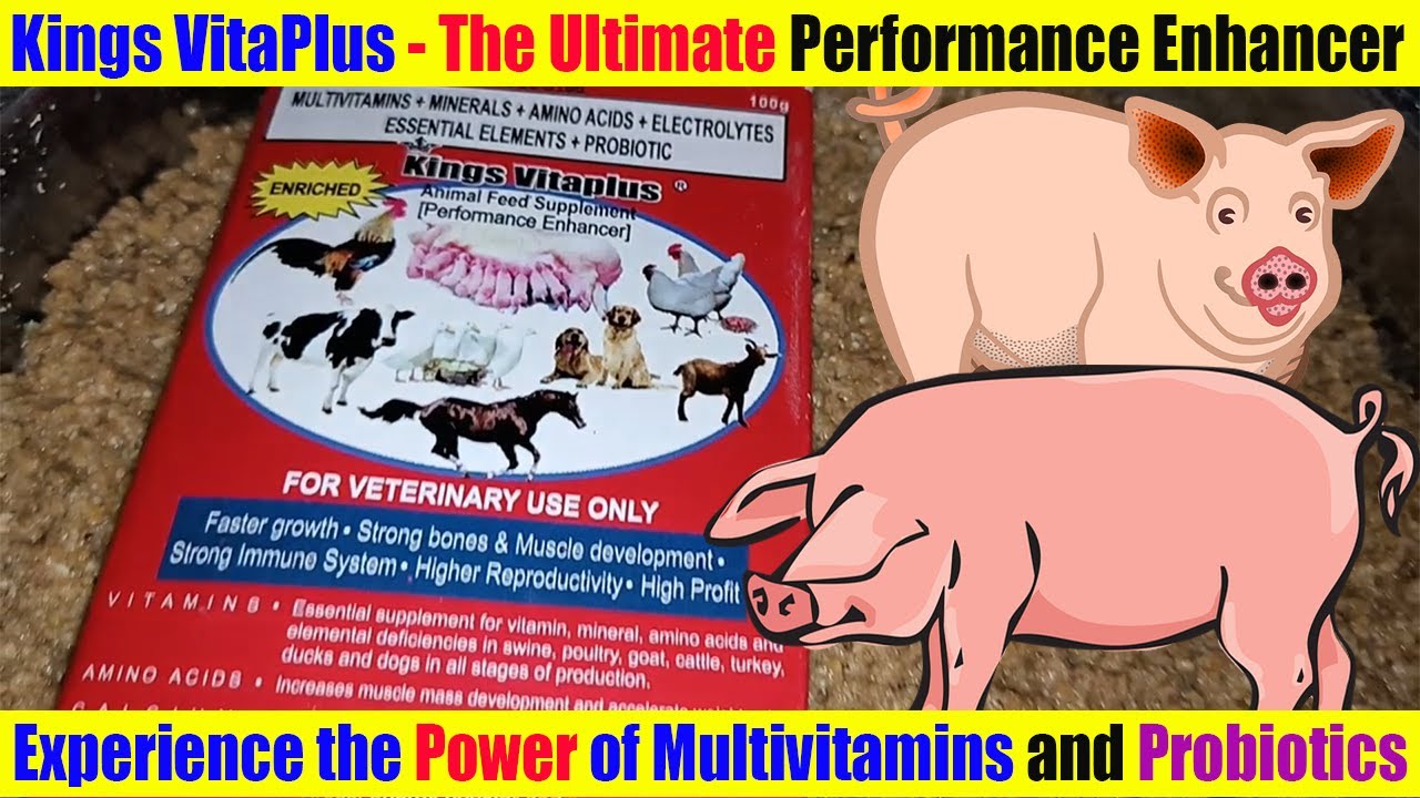 The Ultimate Guide to Kings Vitaplus: Boosting Animal Health and ...