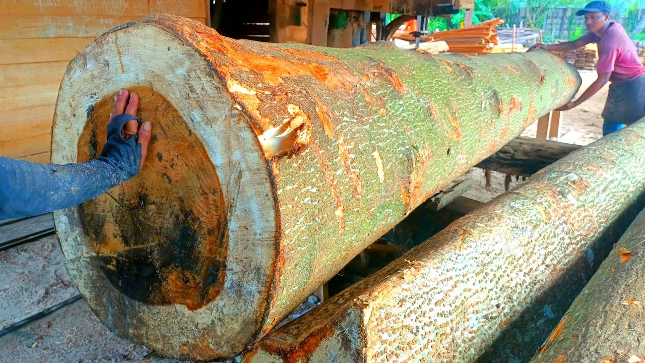 Clever operator! Here's how to saw big, heavy logs for good results ...