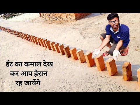 1000 Bricks Domino Effect | Domino Tricks |Double Domino Effect - YouTube