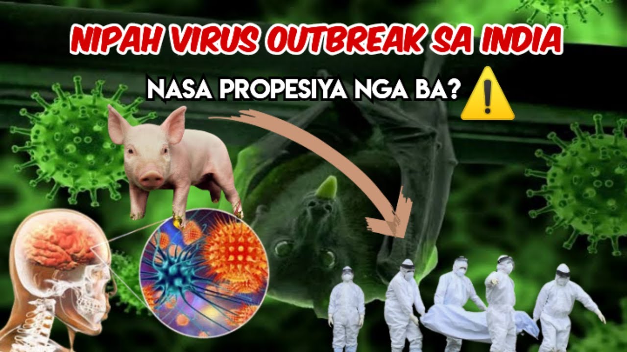 NIPAH VIRUS OUTBREAK SA INDIA UTAK ANG TINATAMAAN/NIPAH VIRUS - YouTube