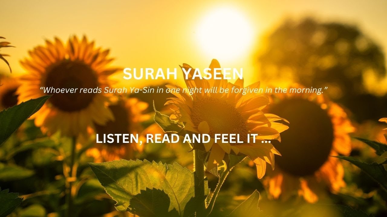 Surah Yaseen - Omar Hashim I Beautiful Recitation to relax our minds I ...