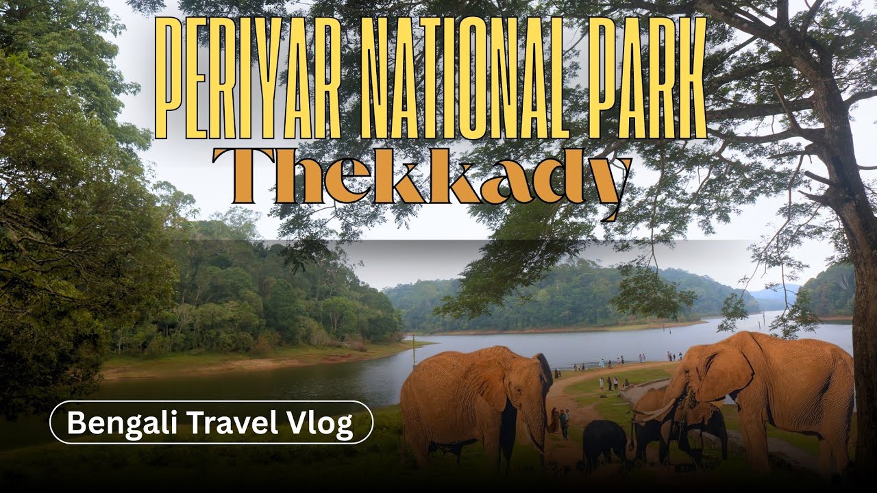Jungle Safari Experience In Periyar National Park | Thekkady | Kerala ...