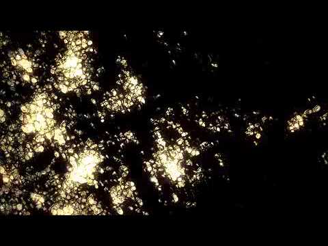 Gold Glint Animation - Free Overlay Stock Footage - YouTube