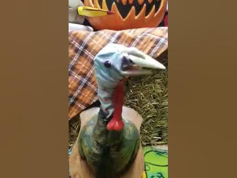 Gemmy Lucky tom the talking turkey - YouTube