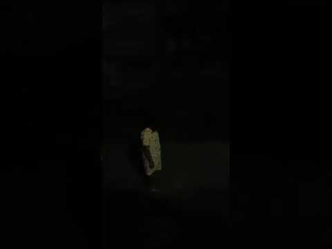 Hantu daster kuning