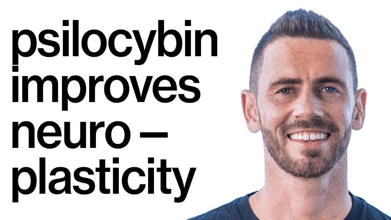 Microdose Your Way to Better Mental & Physical Health With Psilocybin ...