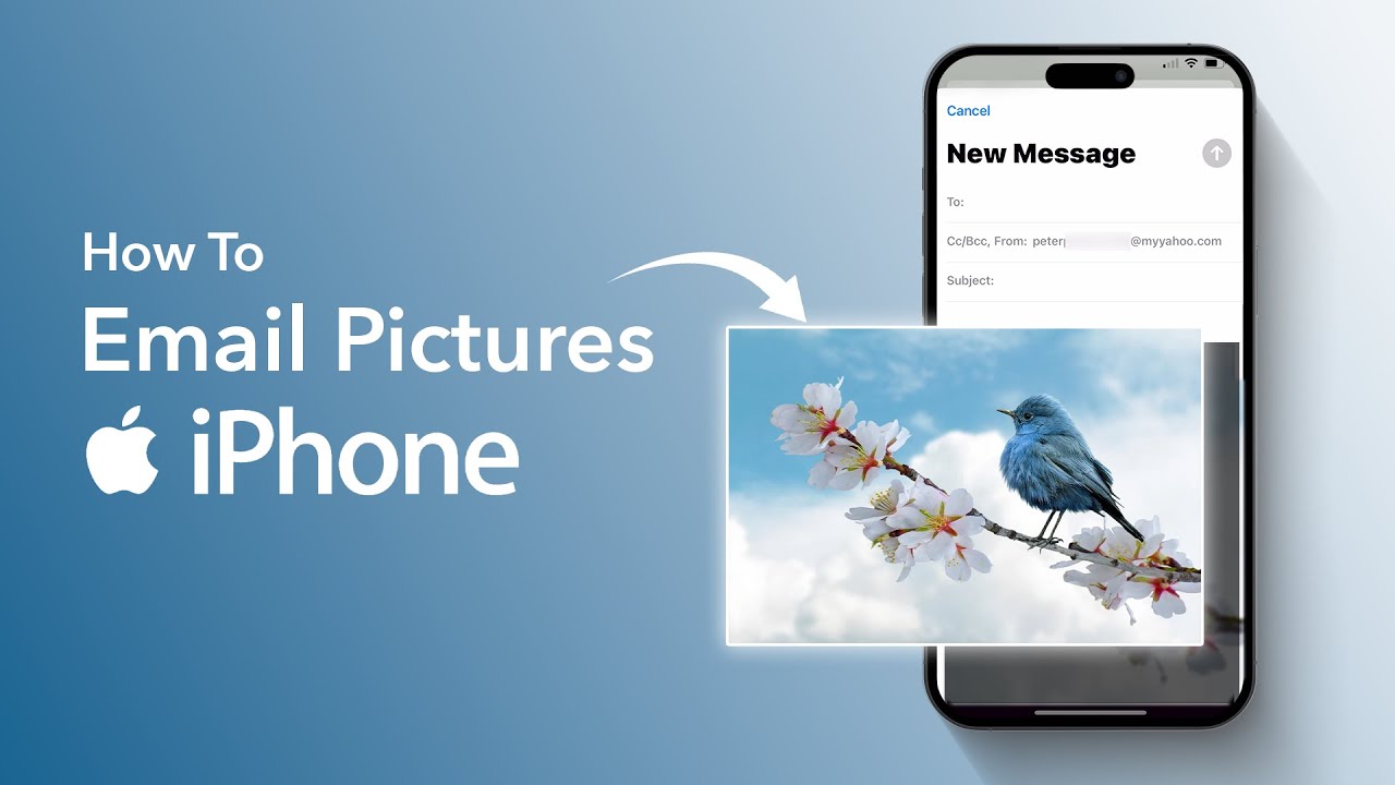 How to Email a Picture from Your iPhone? - YouTube