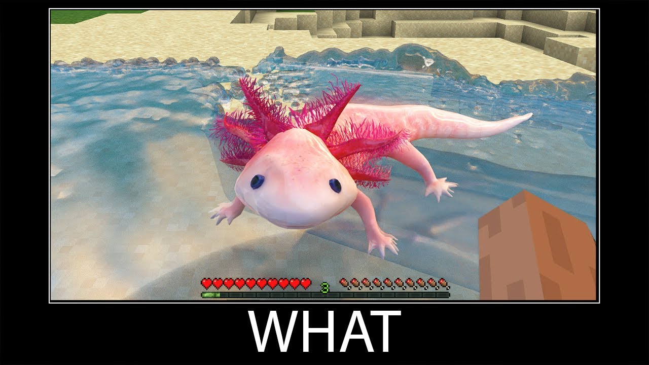 Minecraft wait what meme part 67 realistic minecraft axolotl - YouTube