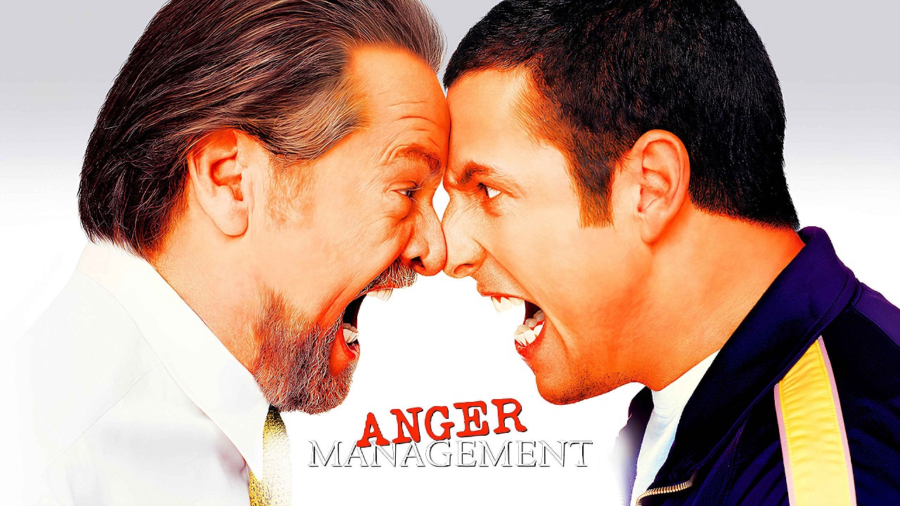 Anger Management 2003 Drama/Comedy Full Movie Facts & Review | Adam ...