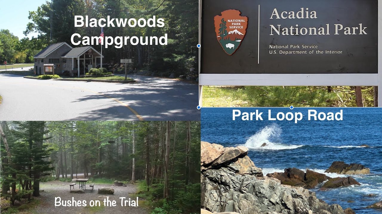 Blackwoods Campground | Park Loop Road | Acadia National Park - YouTube