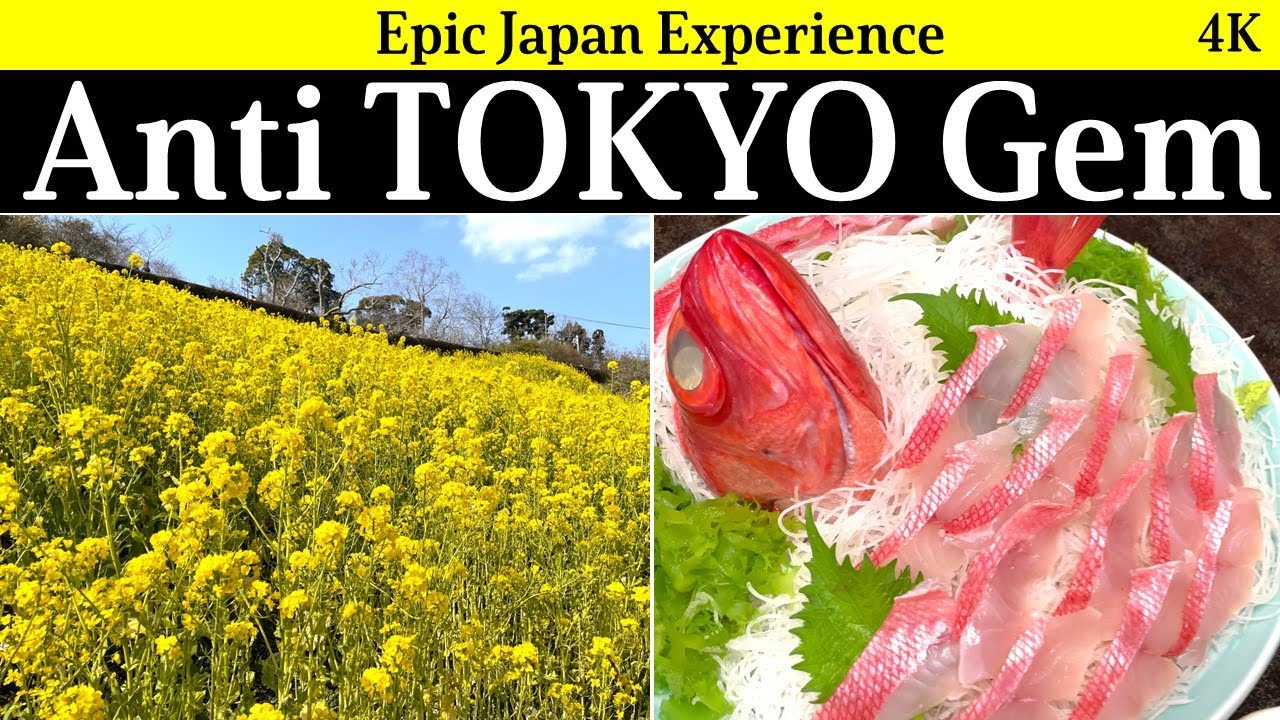 4K Japan, Chiba pref: Anti TOKYO! The hidden scenic and tasty Chiba ...