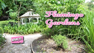 One of the best Zen places in Florida (Flamingo Gardens)(4K)