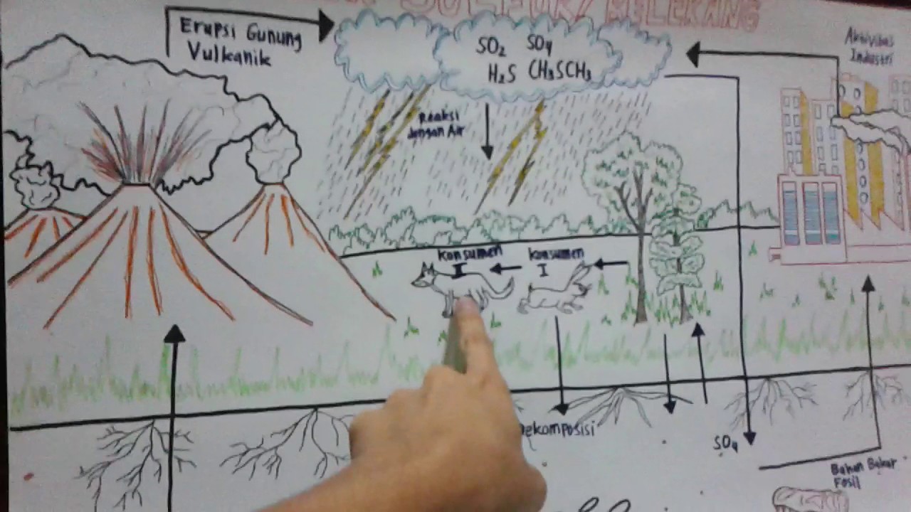 Daur Sulfur / Siklus Belerang - YouTube