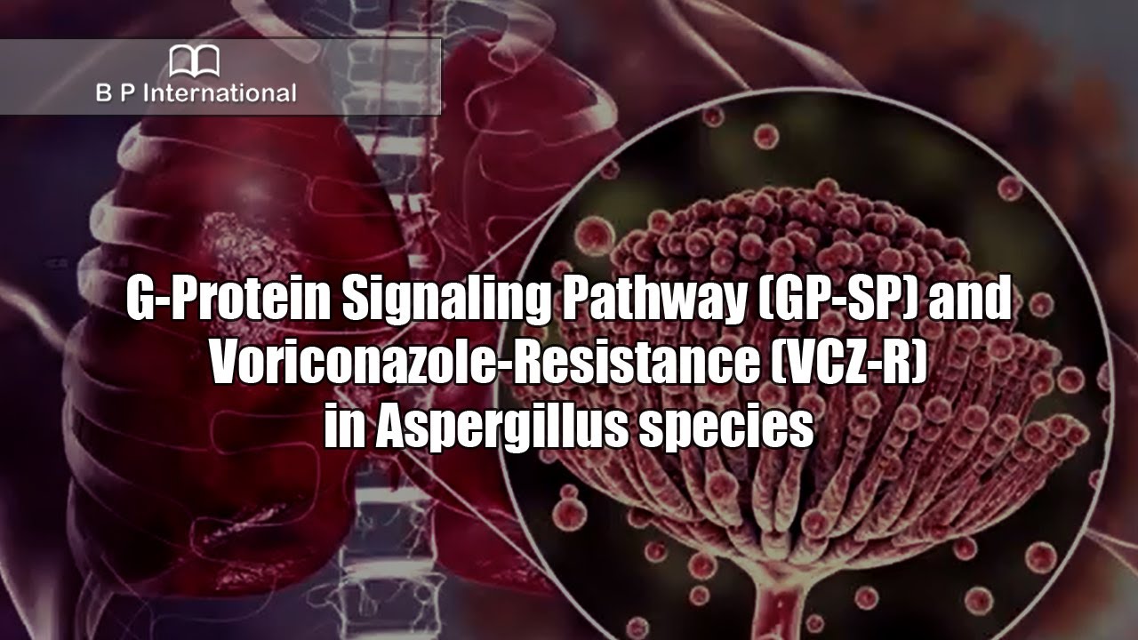 G-Protein Signaling Pathway (GP-SP) and Voriconazole-Resistance (VCZ-R ...