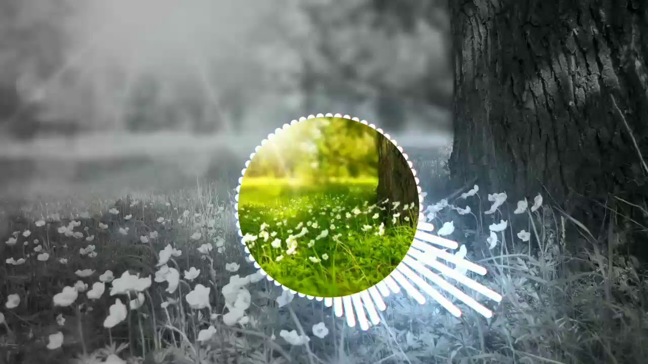 NCS | Background music | Peaceful bgm | meditation bgm |bmn - YouTube