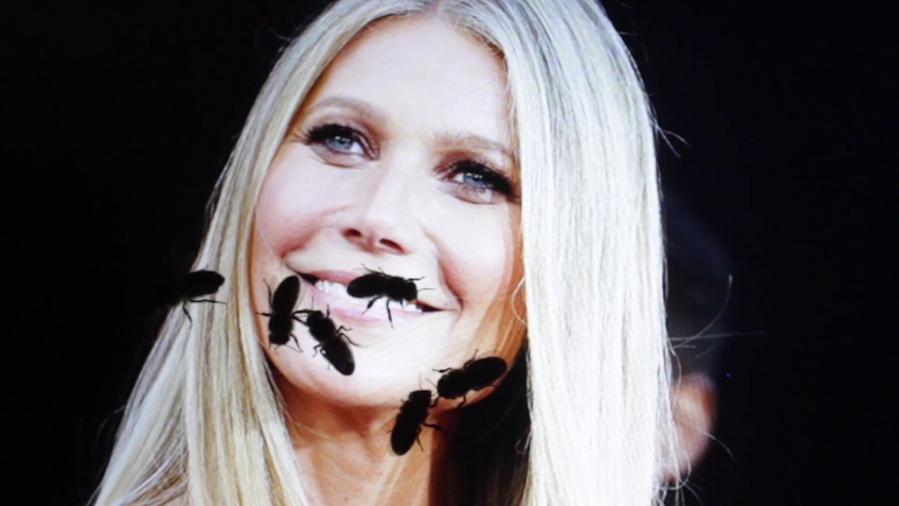 Sofia Barbara's Instagram, Twitter & Facebook on IDCrawl