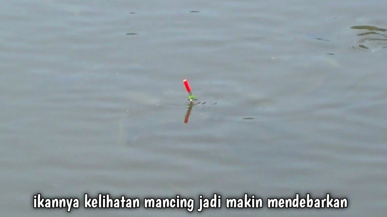 Mancing ikan di air jernih - YouTube