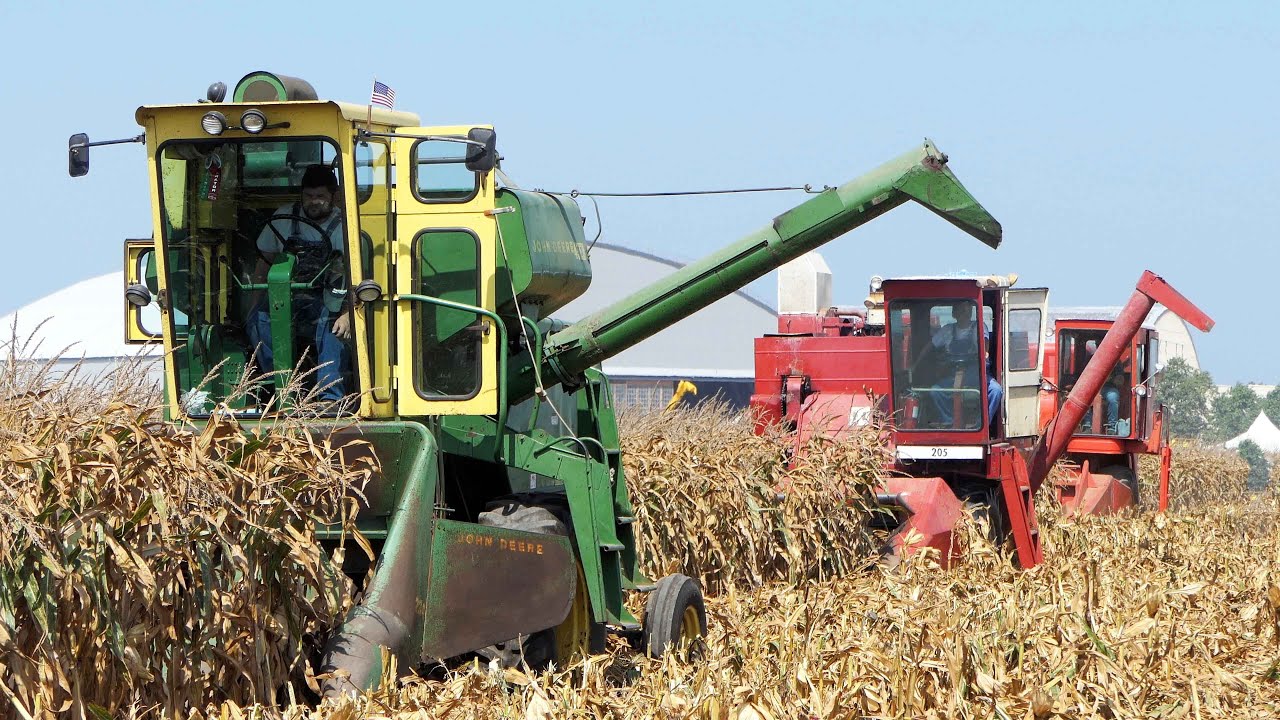Vintage combines Harvesting Corn at Half Century of Progress Show 2023 ...