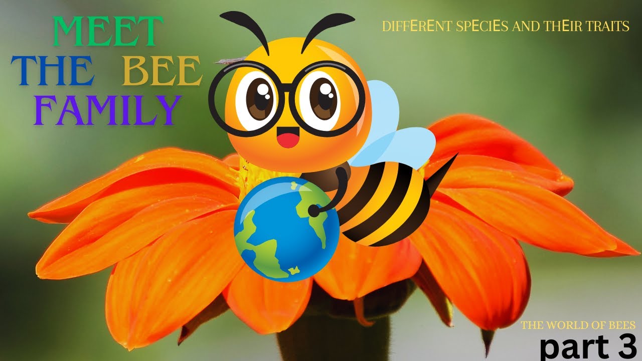 🐝meet the bee family/Efforts to conserve pollinators/Types of bees ...