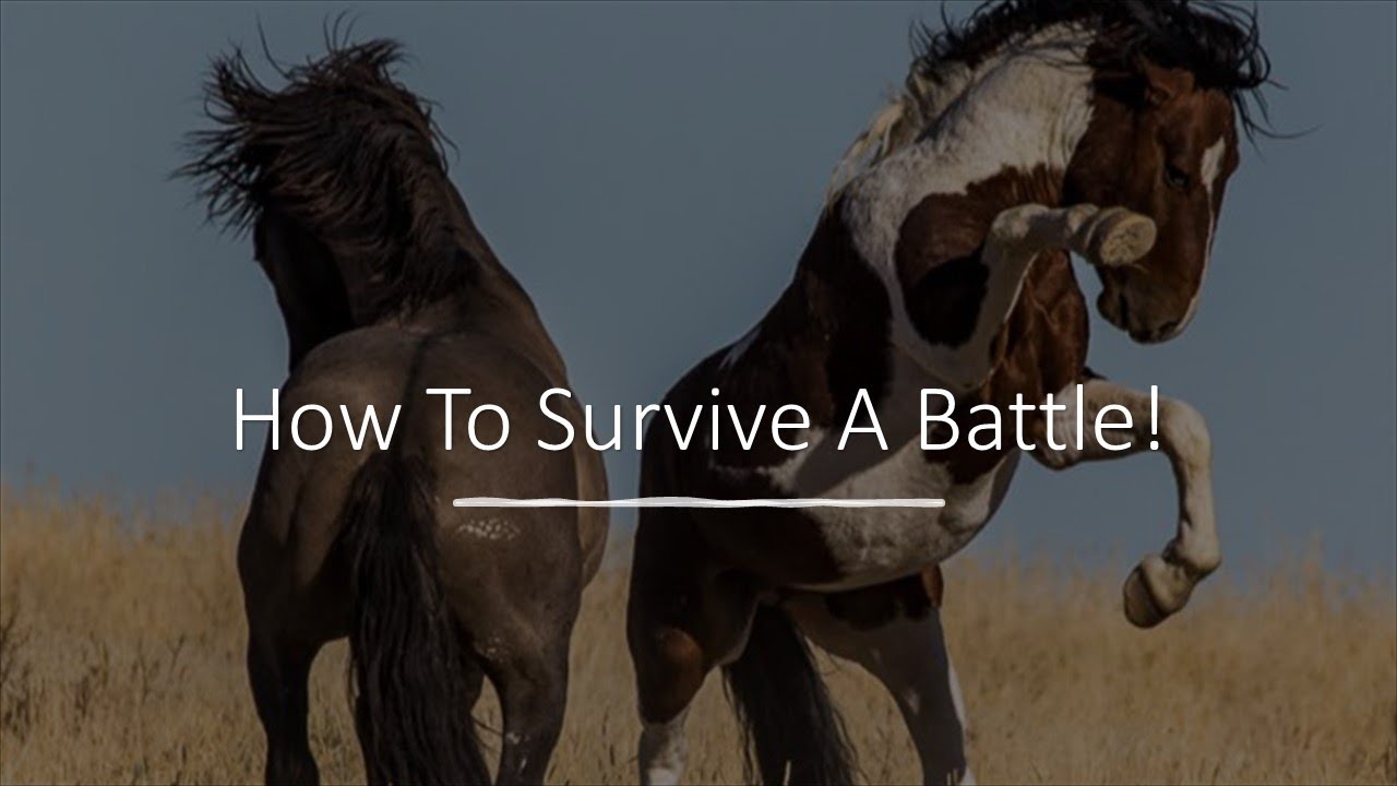 How To Survive A Battle - YouTube
